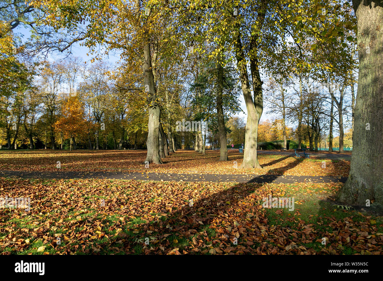 Ropner park hi-res stock photography and images - Alamy