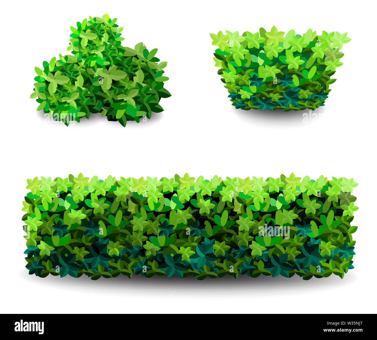 Garden bush. Green garden vegetation bushes icon. Ornamental plant ...