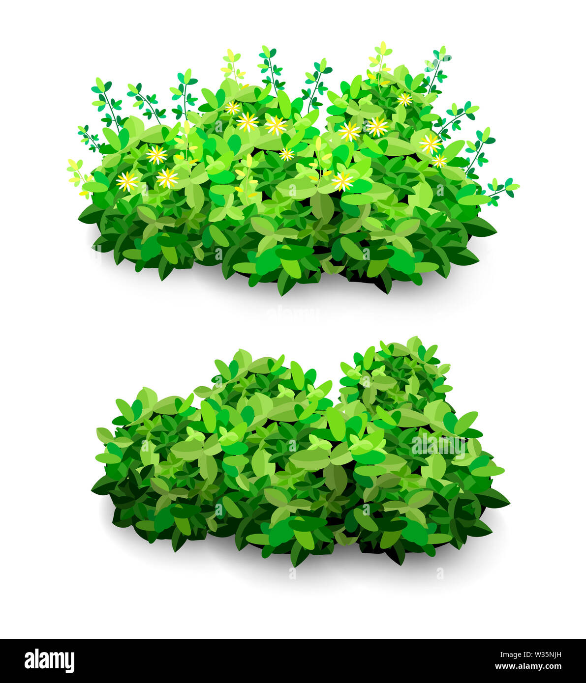 Vegetation thickets Cut Out Stock Images & Pictures - Alamy