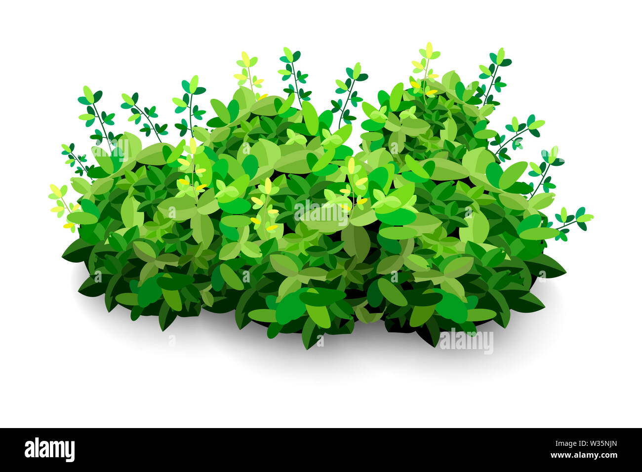 Garden bush. Green garden vegetation bushes icon. Ornamental plant ...