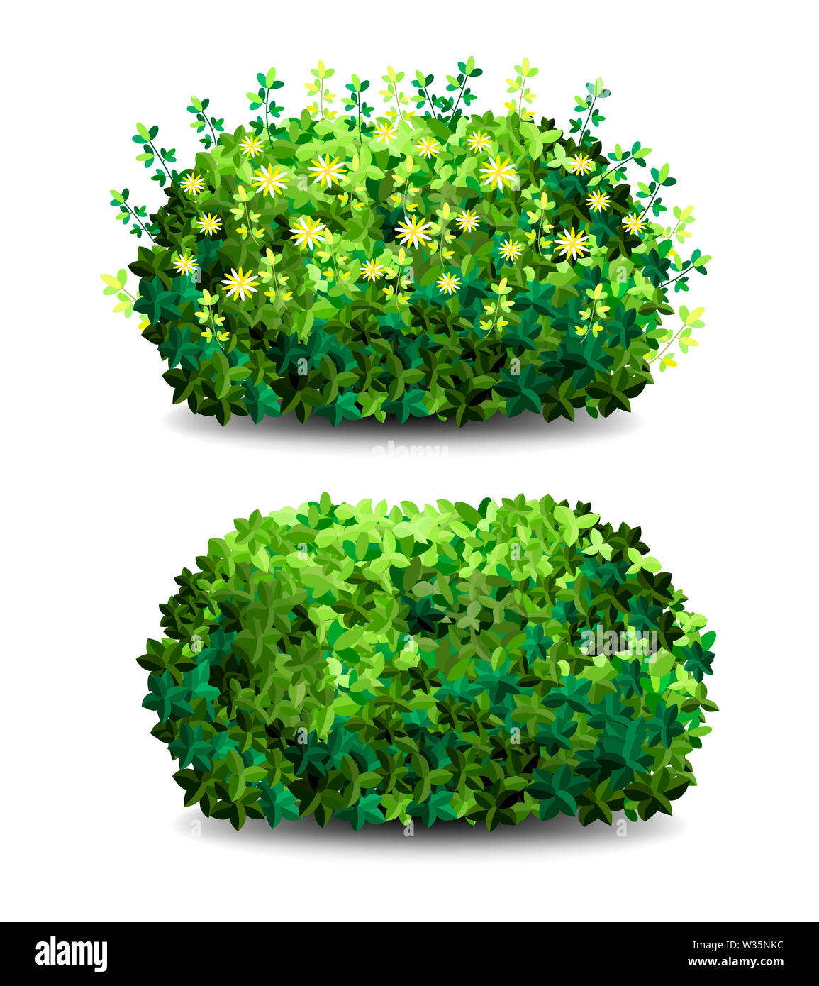 Garden bush. Green garden vegetation bushes icon. Ornamental plant ...