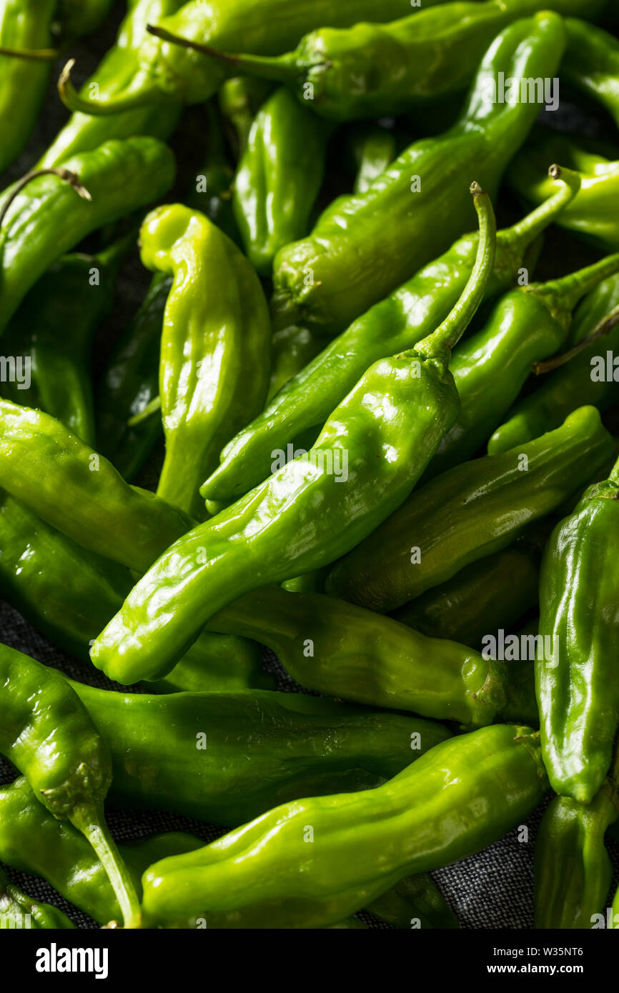 Raw Green Organic Shishito Peppers in a Bunch Stock Photo - Alamy