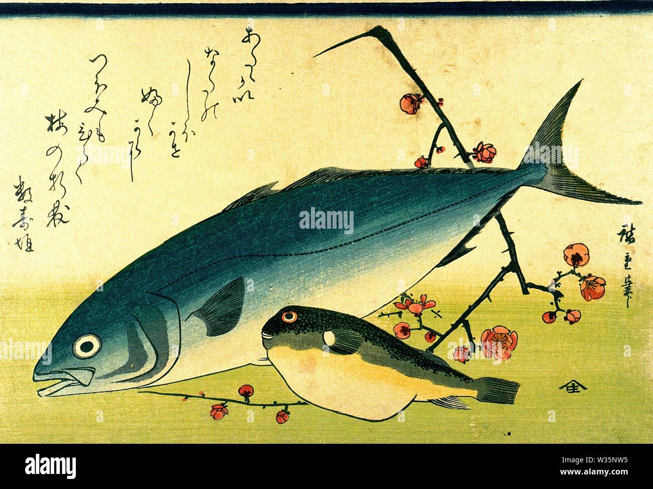 Inada - Hiramasa 平政 (Amberjack, Yellowtail), Fugu 河豚 (Globefish ...