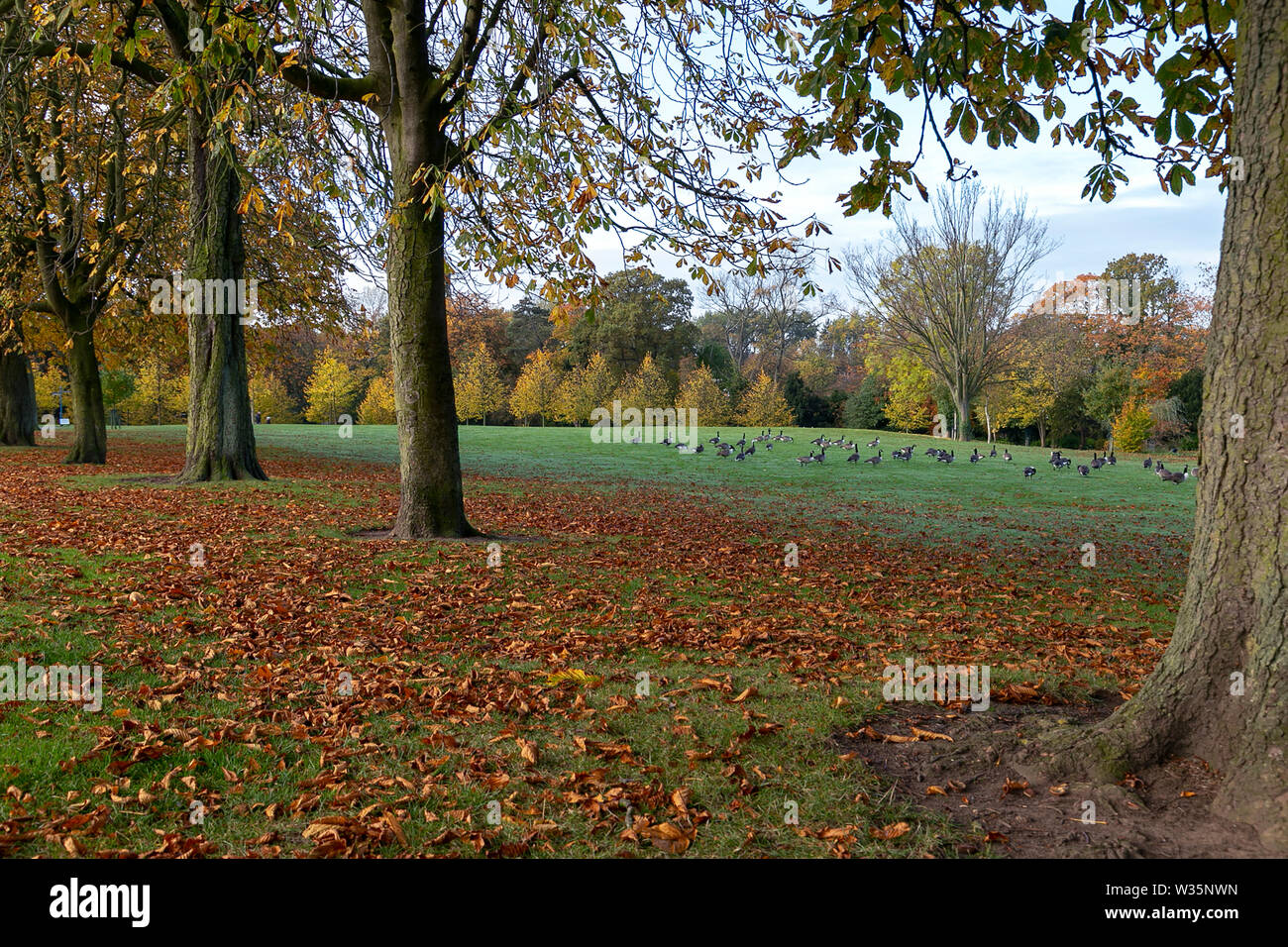 Ropner Park, Stockton on Tees. UK Stock Photo - Alamy