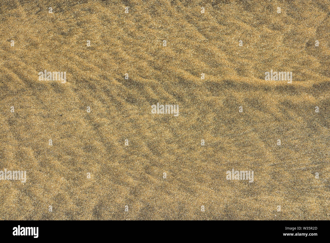 Wet natural sand beach and smooth after surf texture background. Summer ...