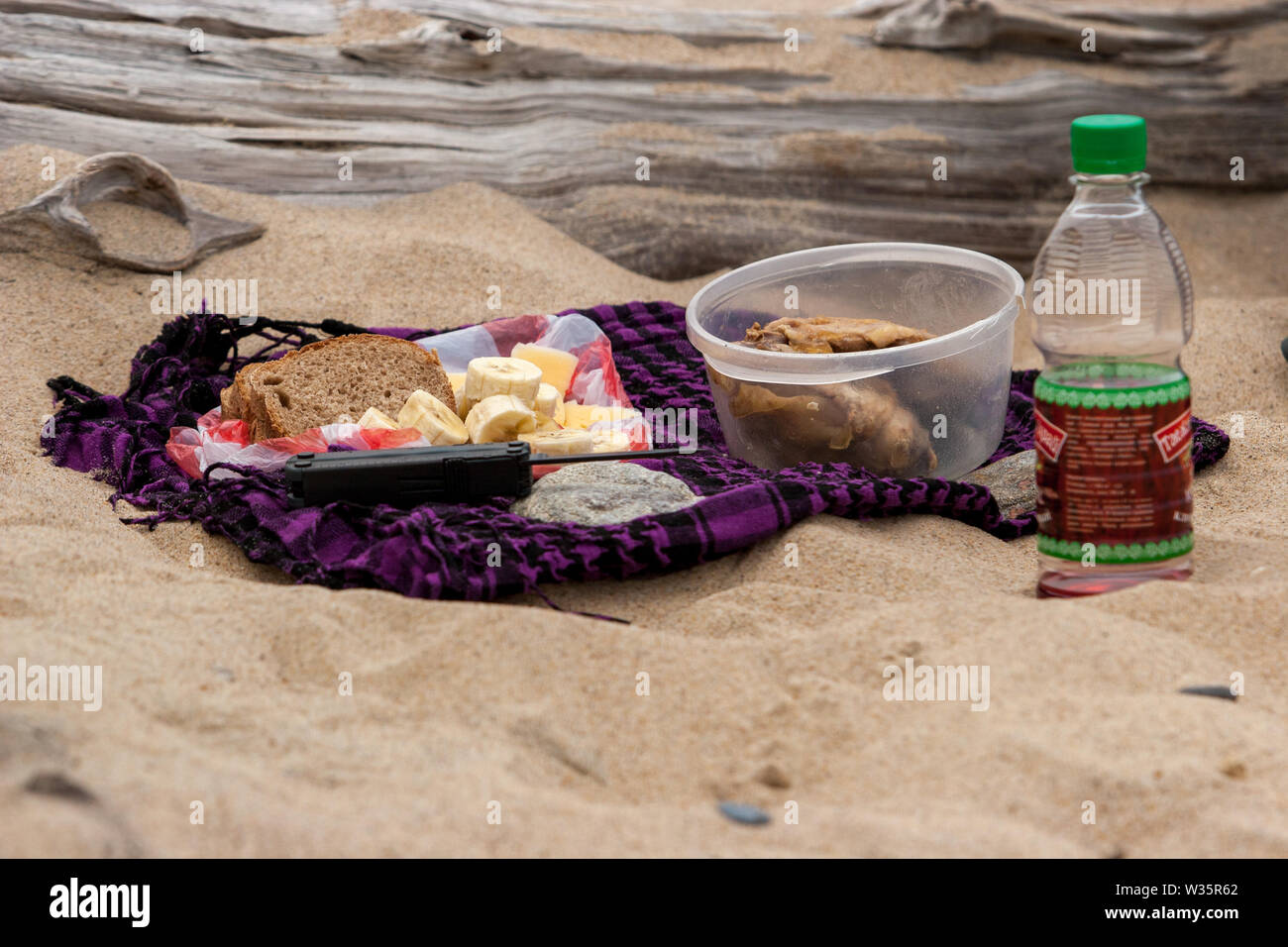 Food in the campaign on the sand with a log. Picnic food set. Bananas ...