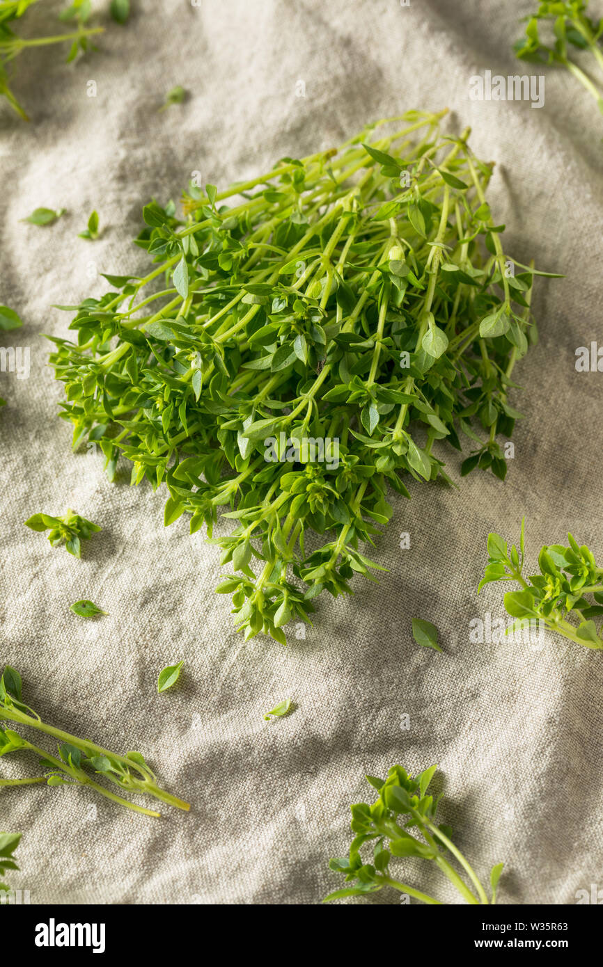Greek basil herb fresh leaf plant pot hi-res stock photography and ...
