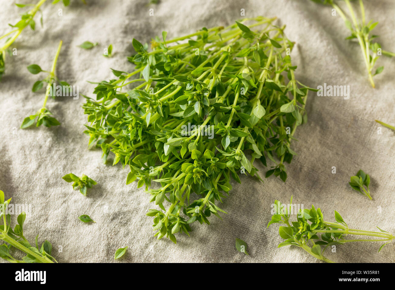 Raw Green Organic Spicy Greek Basil Ready to Cook With Stock Photo - Alamy