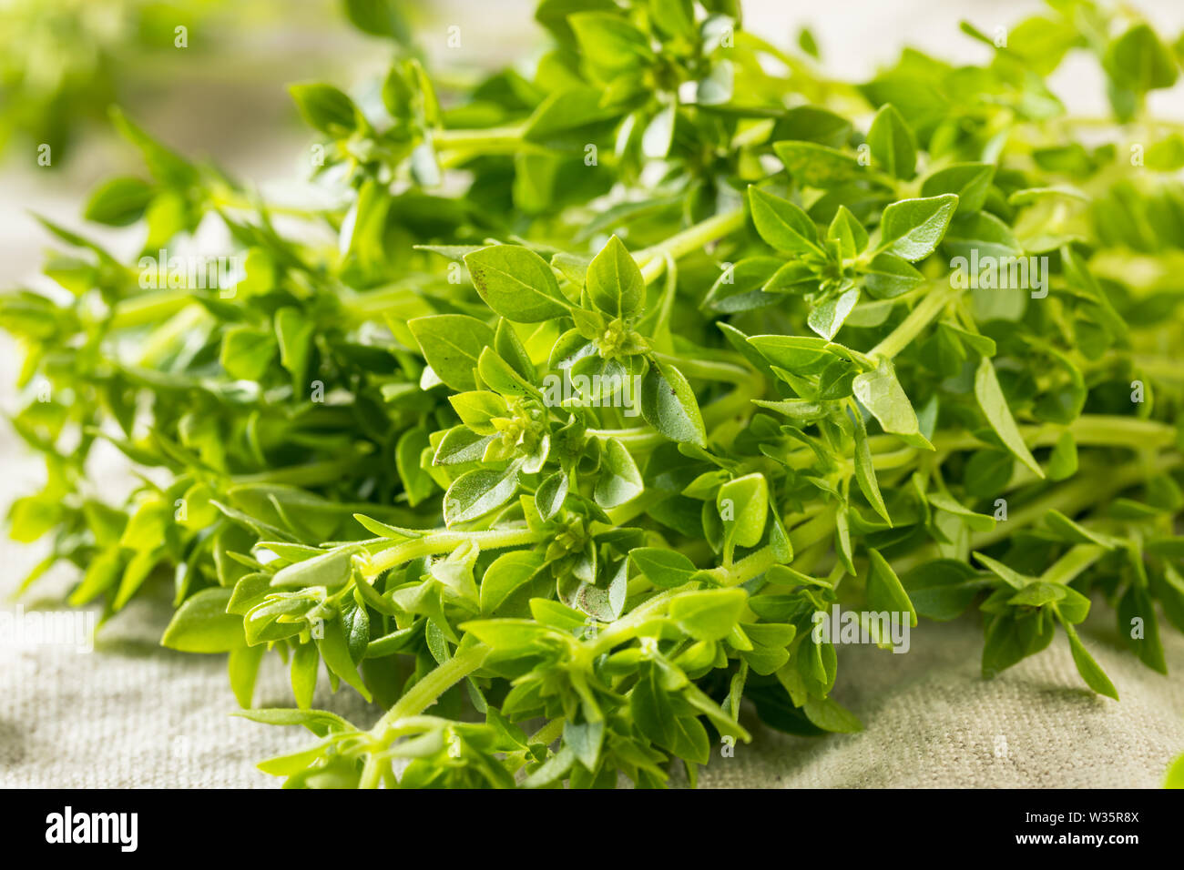 Greek basil hi-res stock photography and images - Alamy