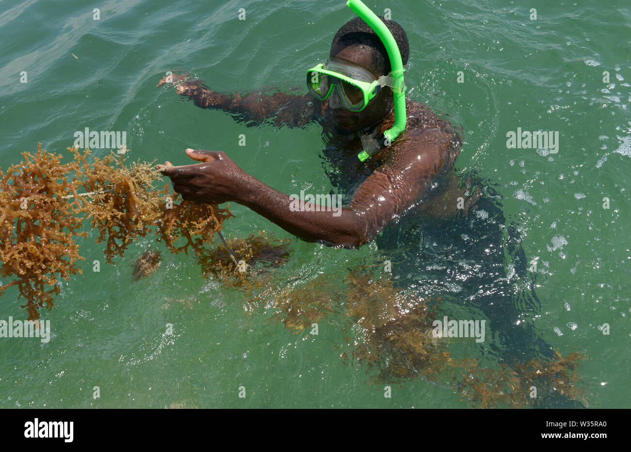 TANZANIA, Zanzibar, village Muungoni, due to climate change and rising ...