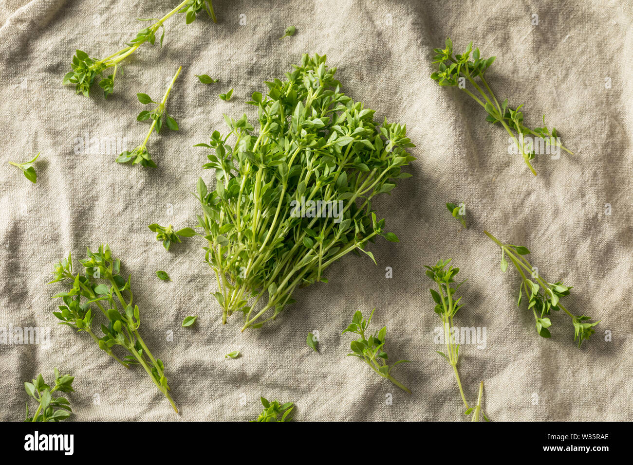 Greek basil hi-res stock photography and images - Alamy