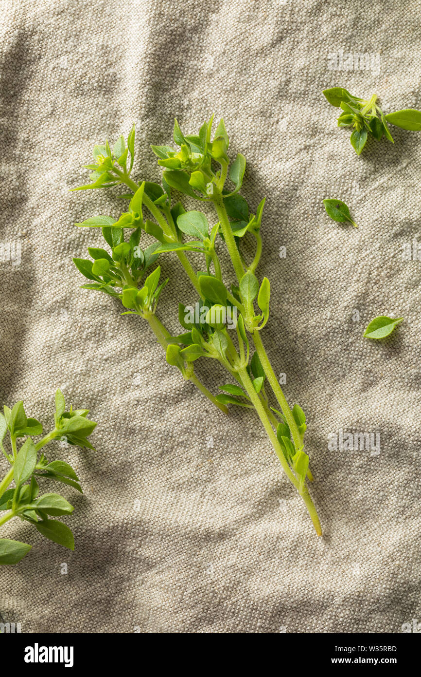 Greek basil hi-res stock photography and images - Alamy