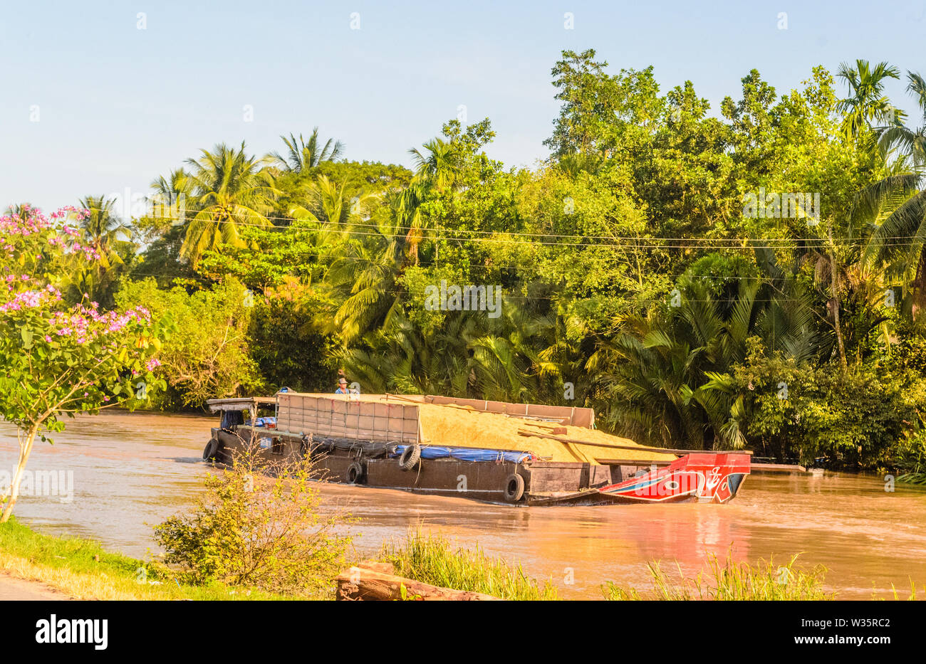 Boat carrying rice in Long Phu, Soc Trang, Viet Nam Stock Photo - Alamy