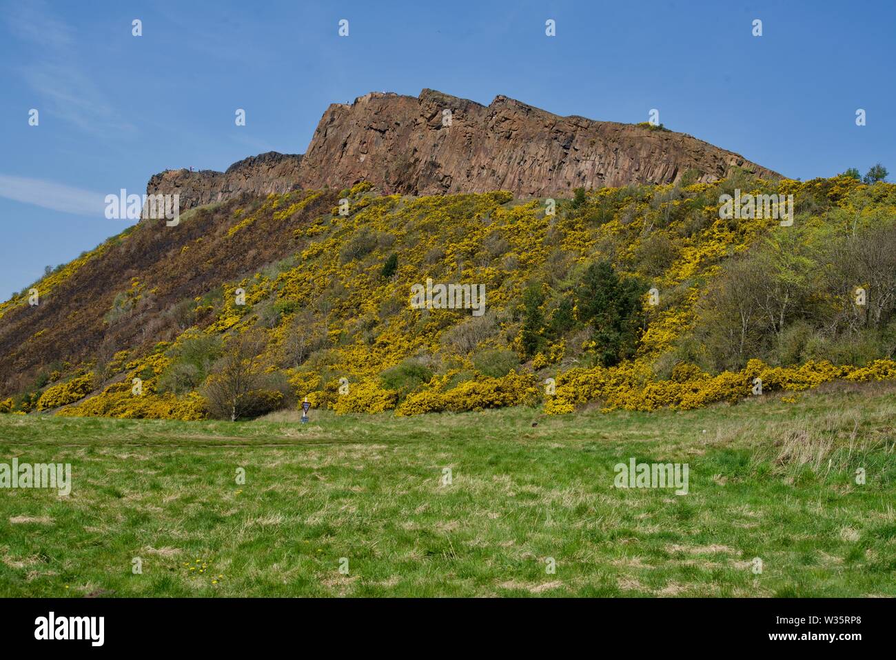 Holyrood exterior view hi-res stock photography and images - Alamy