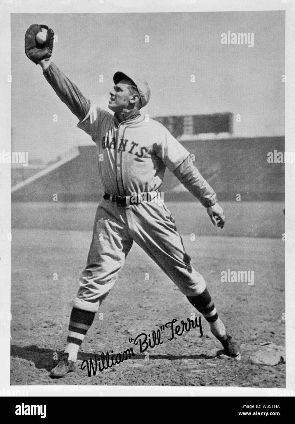 Terry new hi-res stock photography and images - Alamy