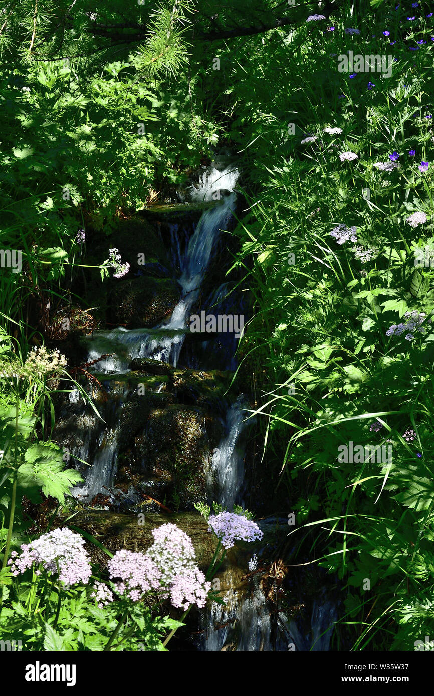 Picture of a brook with flowers and grass on the border Stock Photo - Alamy