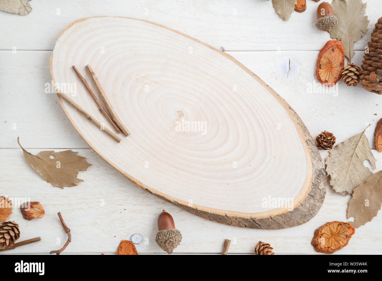 cross-section of a tree on a wooden background in autumn style . top ...