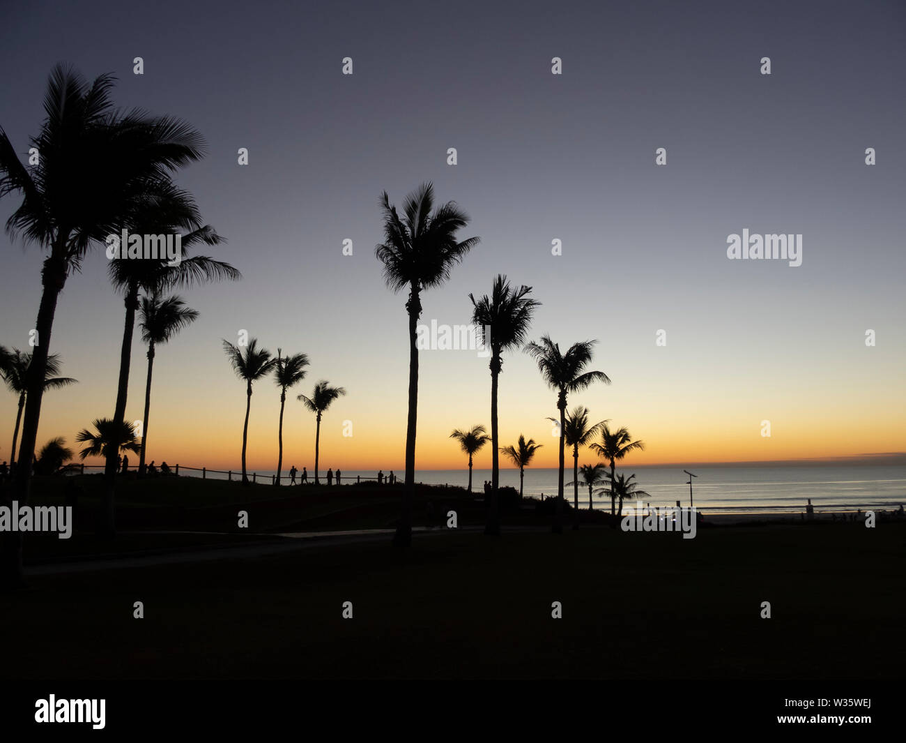 silhouette of palm trees at sunset in Broom, Western Australia Stock ...
