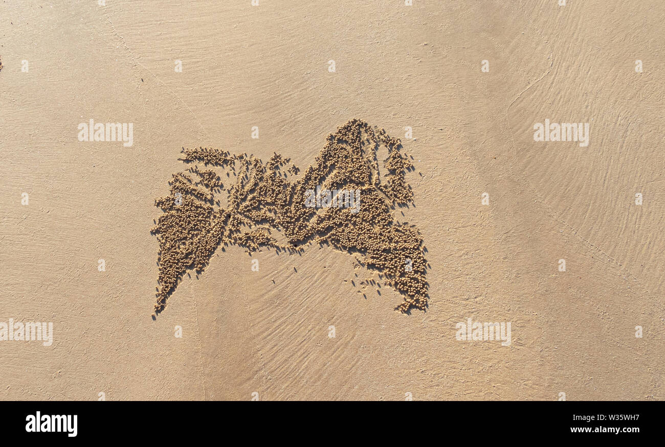 Traceability hi-res stock photography and images - Alamy