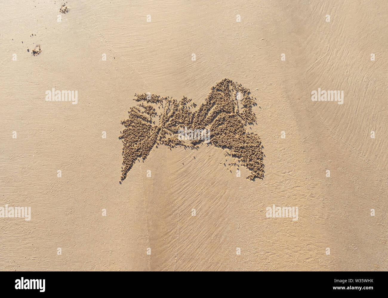 Traceability hi-res stock photography and images - Alamy