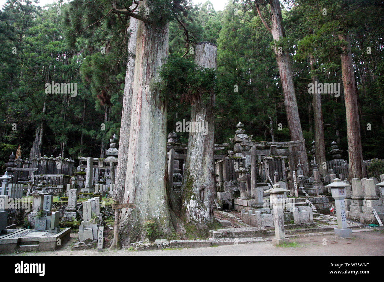 Okuno-In Cemetary, Koyasan, Japan Stock Photo - Alamy