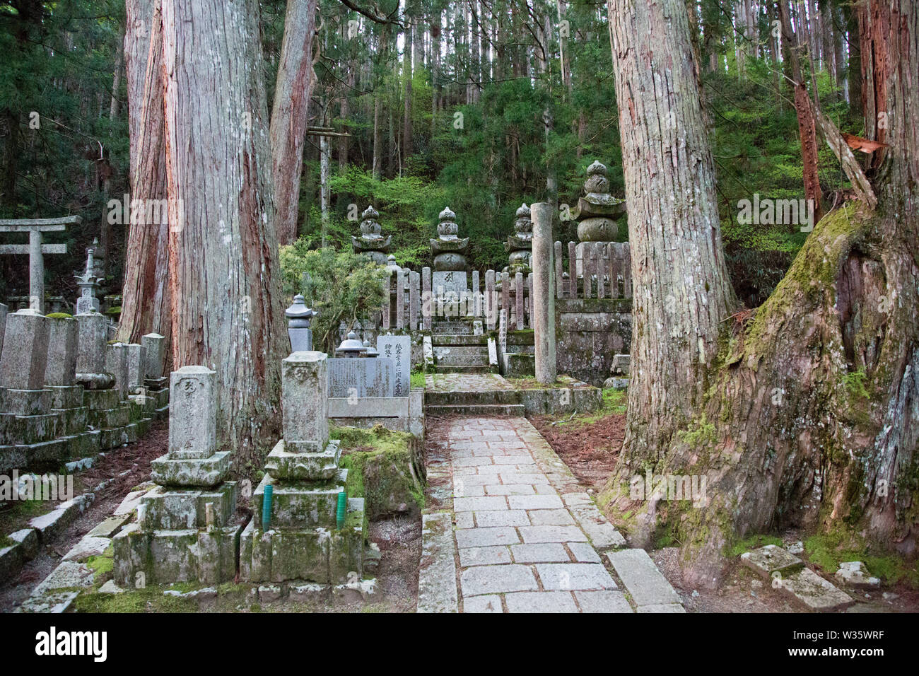 Okuno-In Cemetary, Koyasan, Japan Stock Photo - Alamy