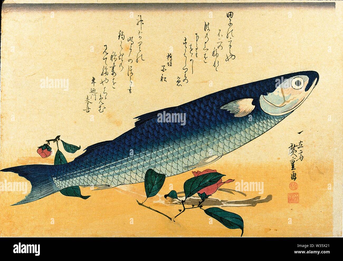 Bora 鯔 (Gray Mullet, Flathead Grey Mullet) Utagawa Hiroshige woodblock ...