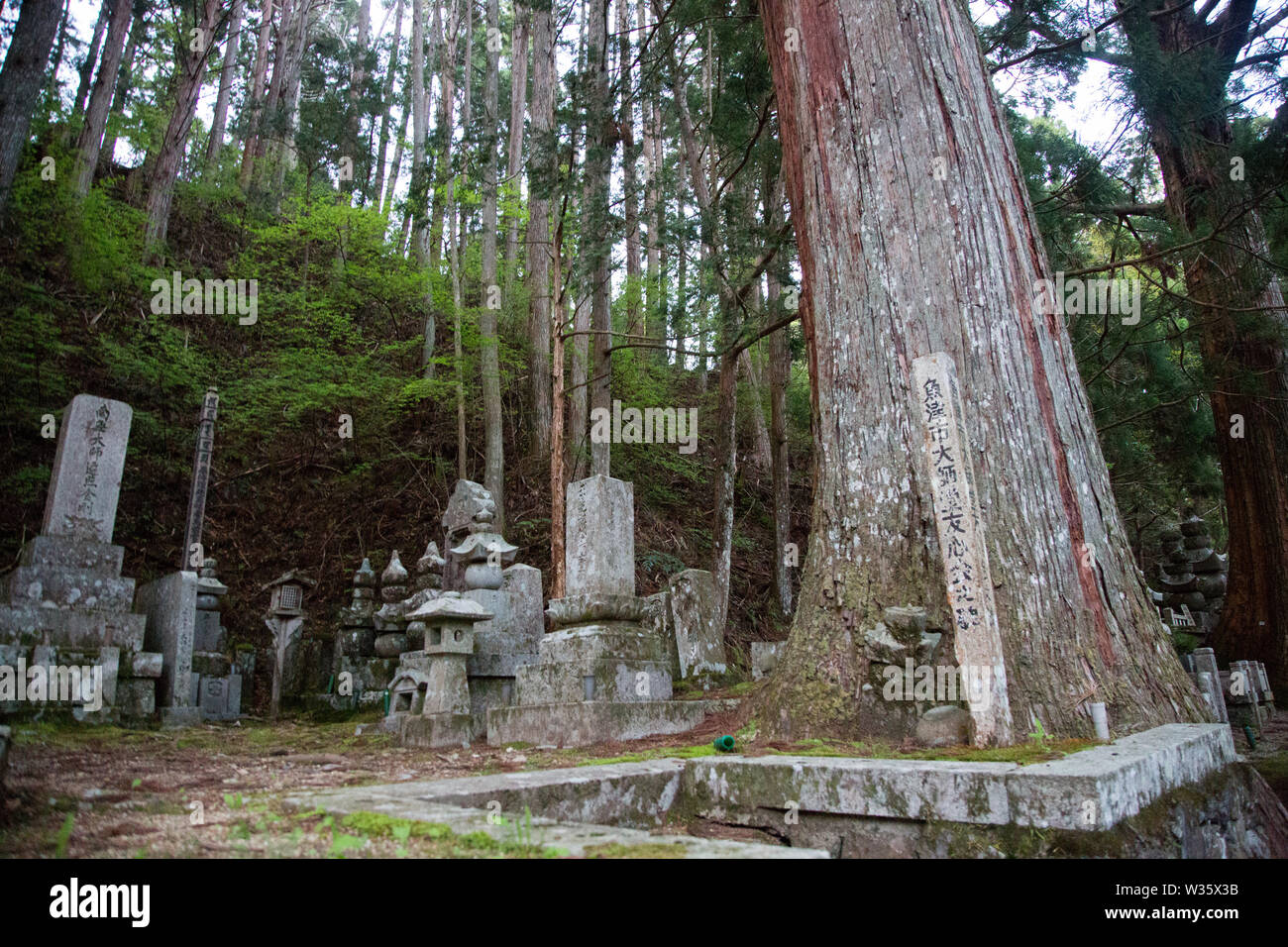 Okuno-In Cemetary, Koyasan, Japan Stock Photo - Alamy