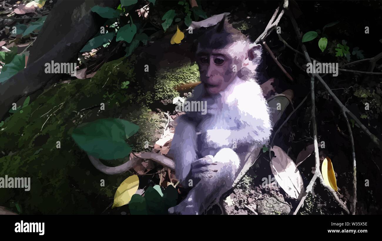 Relaxing baby monkey Stock Vector Image & Art - Alamy