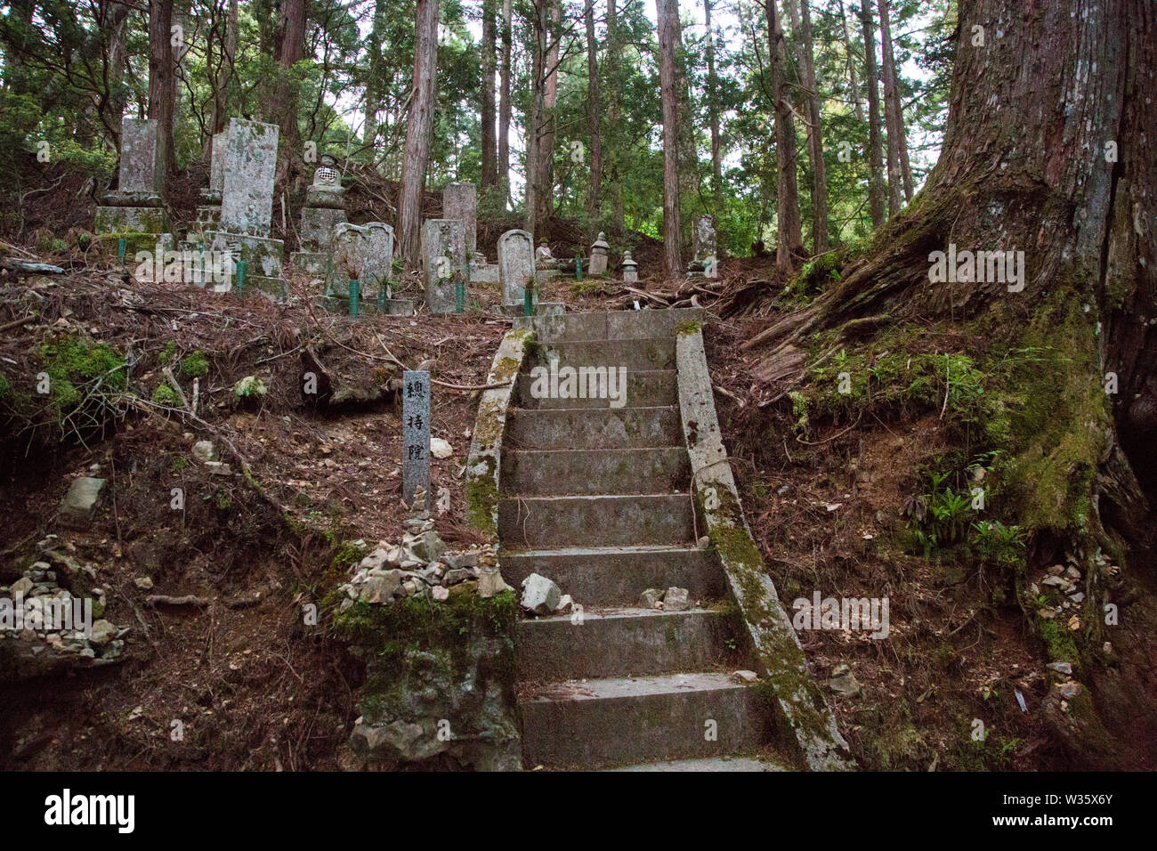 Okuno-In Cemetary, Koyasan, Japan Stock Photo - Alamy