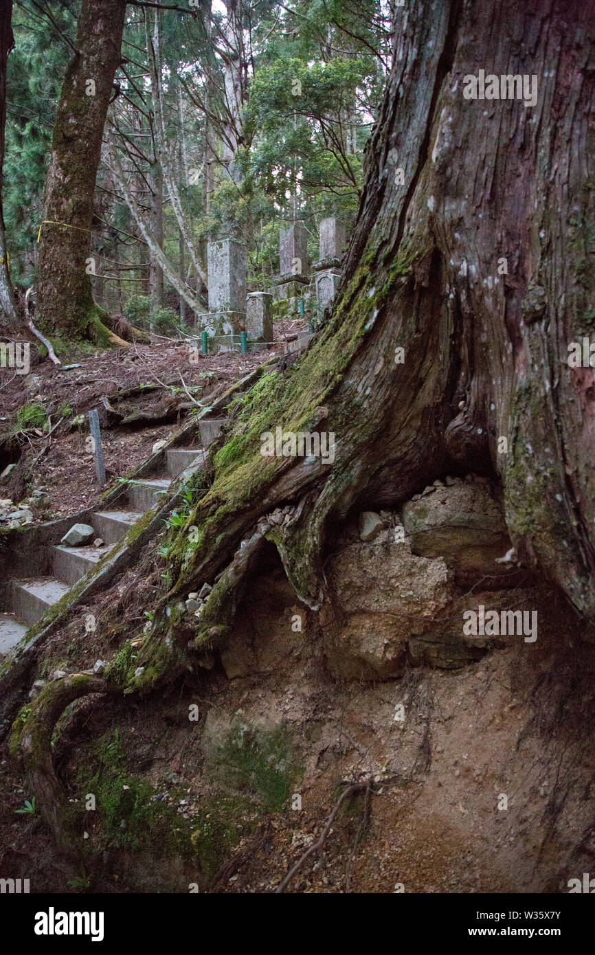 Okuno-In Cemetary, Koyasan, Japan Stock Photo - Alamy