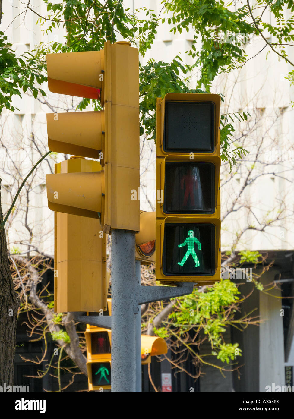 Green Traffic Light At A Pedestrian Crossing Barcelona Spain Stock