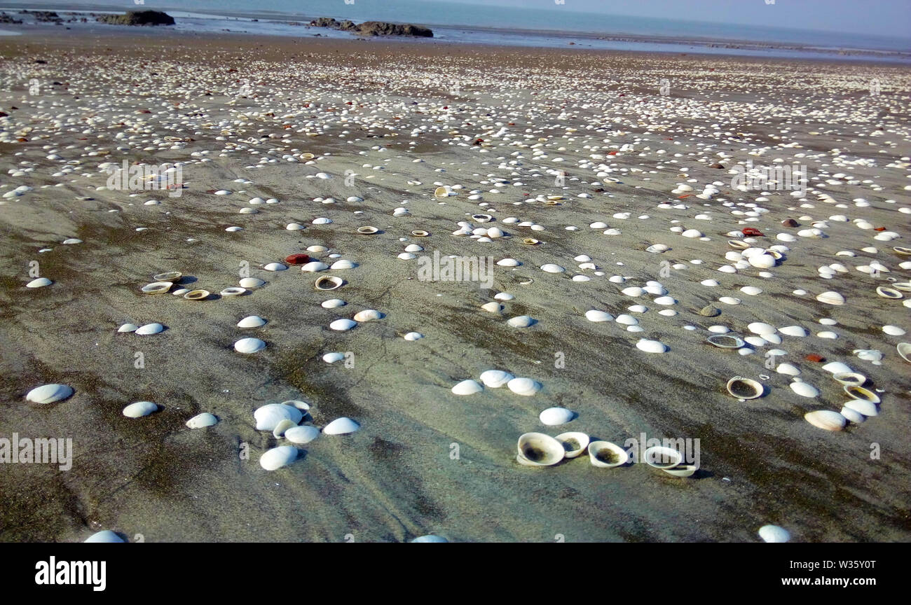 Pictures of the marine environment wallpepar Stock Photo - Alamy