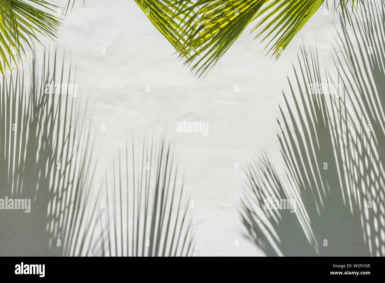 Linear arrangement hi-res stock photography and images - Alamy