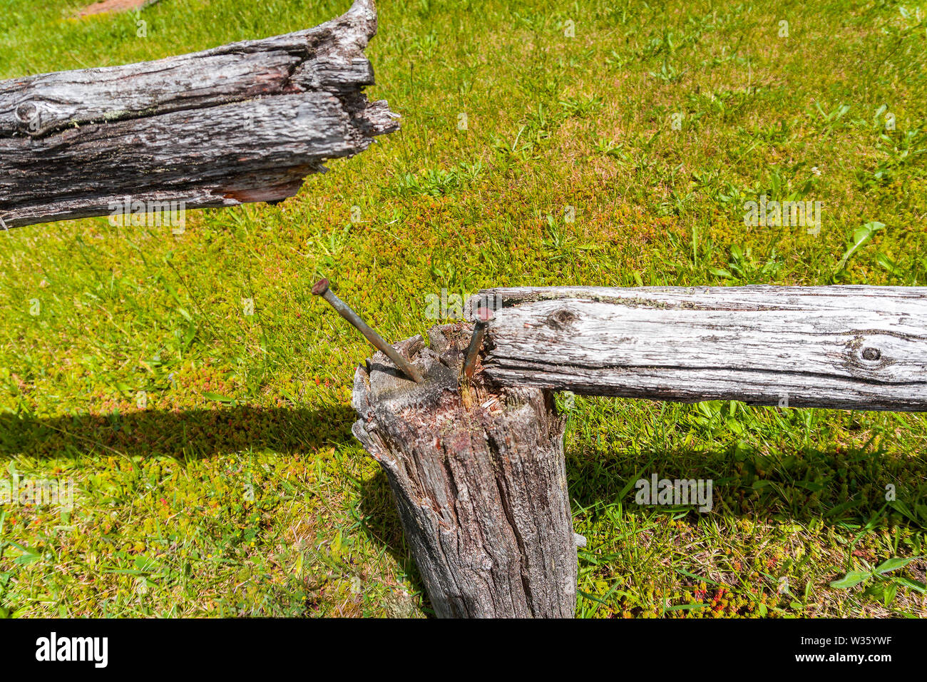 Rotten wooden pole hi-res stock photography and images - Alamy