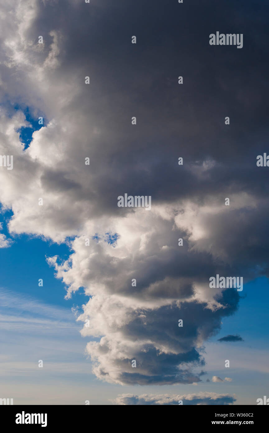 Growth characteristics hi-res stock photography and images - Alamy