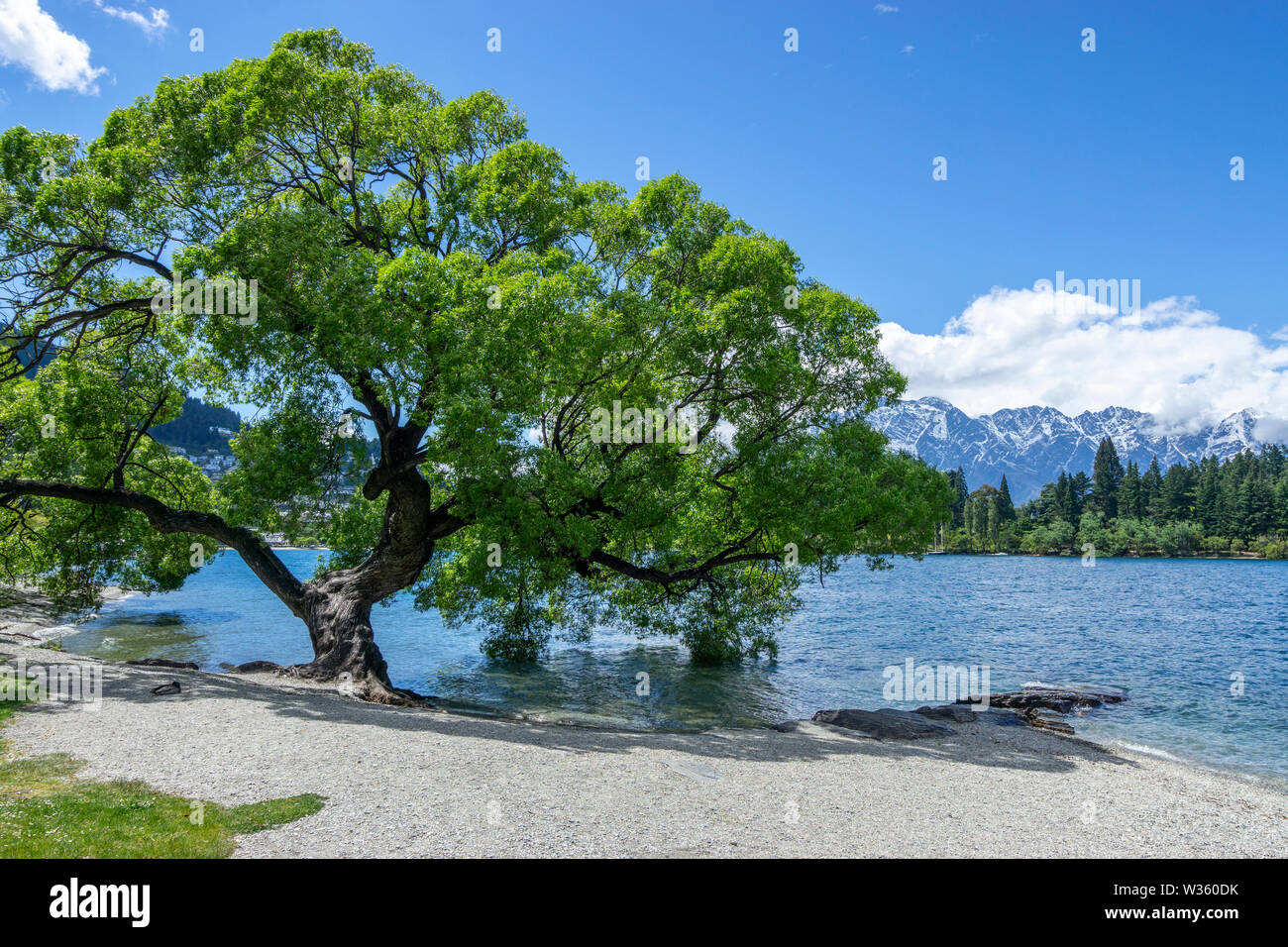 Queenstown new zealand attraction hi-res stock photography and images ...