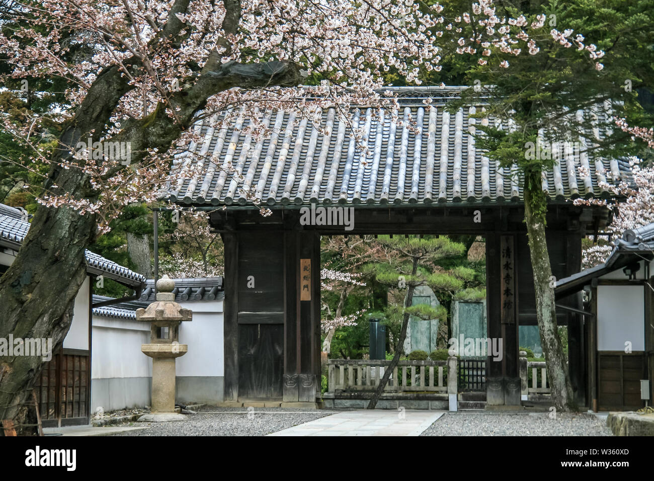 japanese historical old palace during the cherry blossom - hanami Stock ...