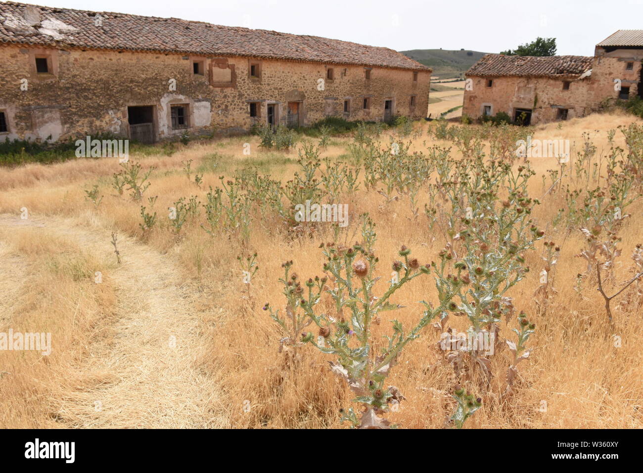 Lomeda hi-res stock photography and images - Alamy