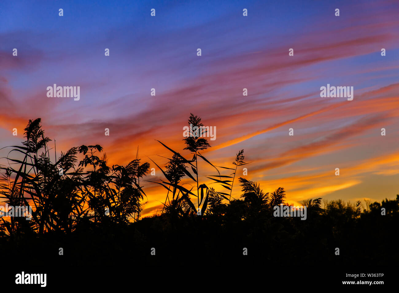 Sunset with sun rays pink sunset clouds sky sun Stock Photo - Alamy