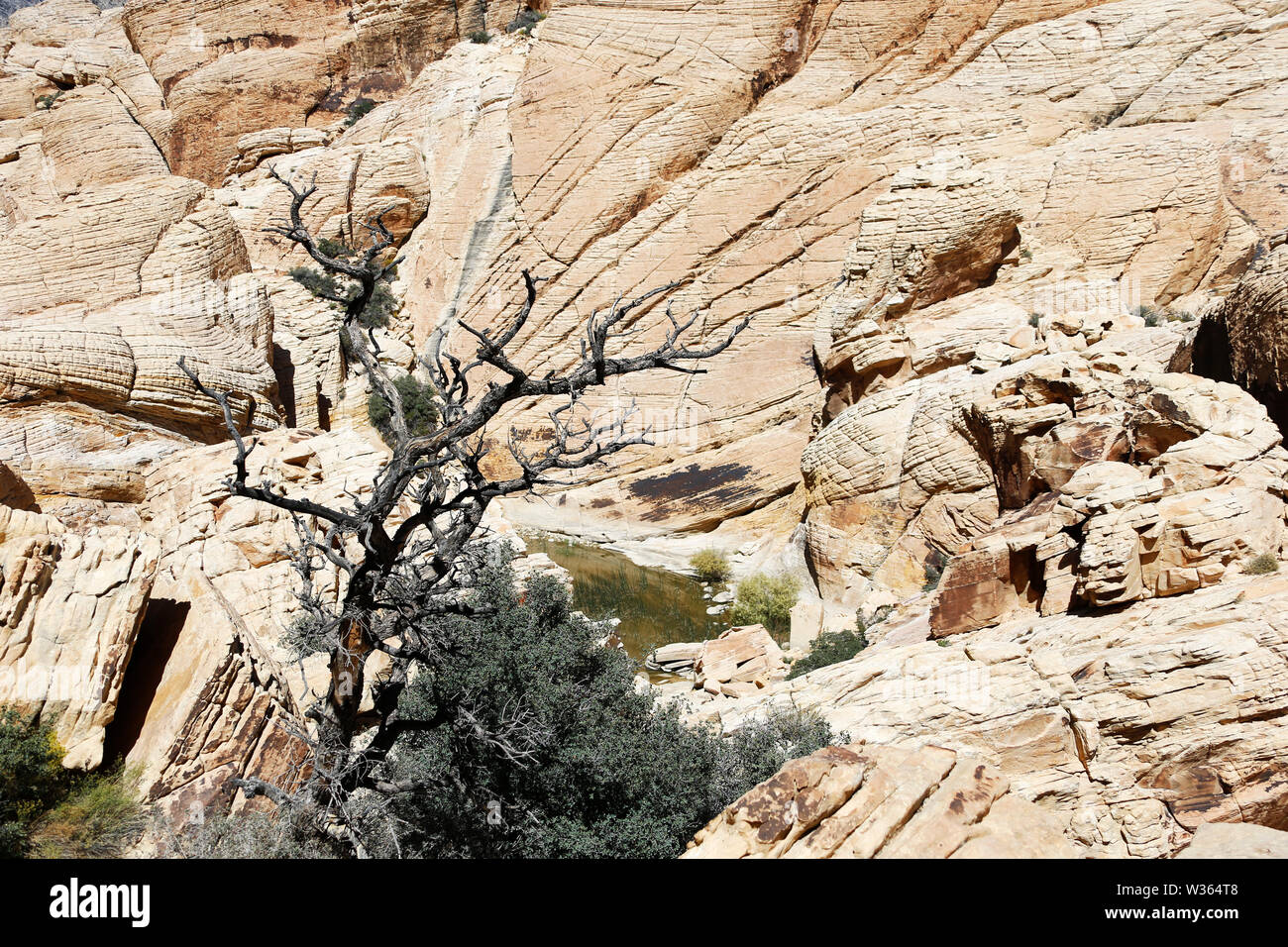 Rock Formations in Red Rock Canyon Conservation Area, Nevada, United ...