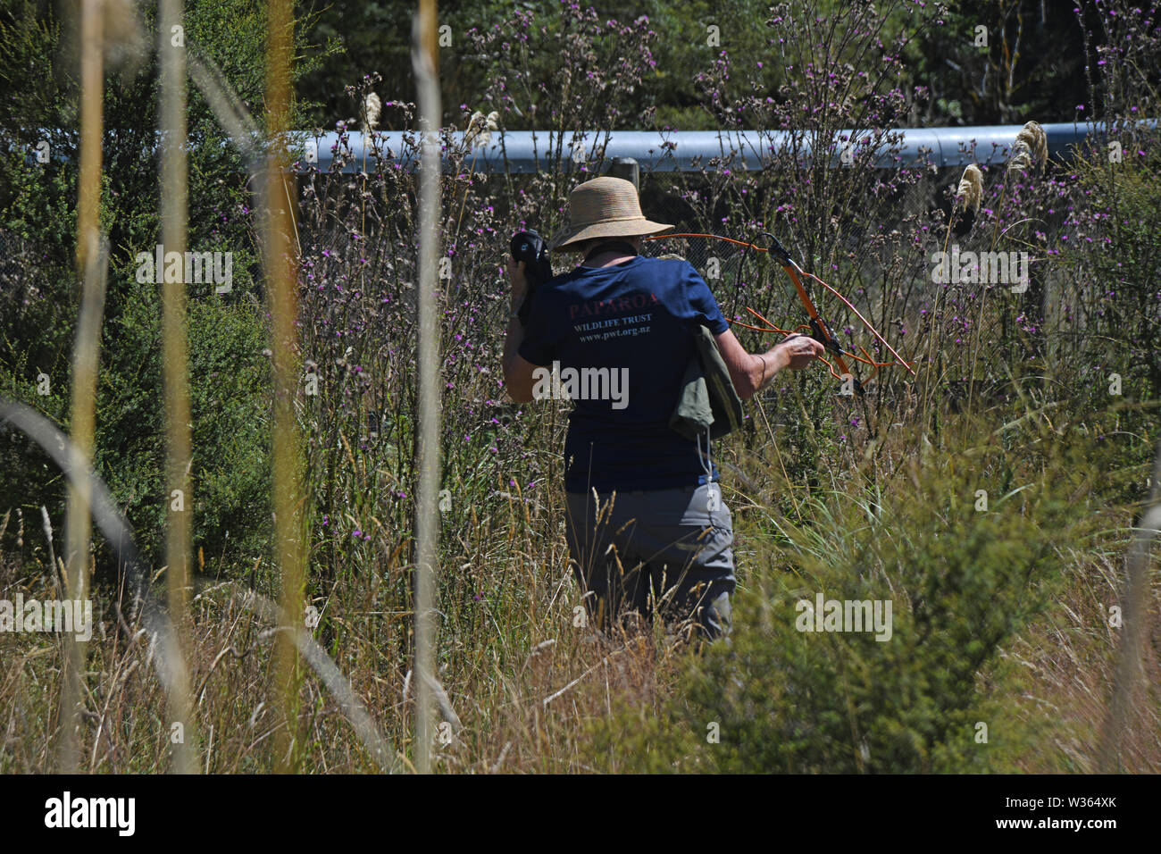 Green spotted kiwi hi-res stock photography and images - Alamy