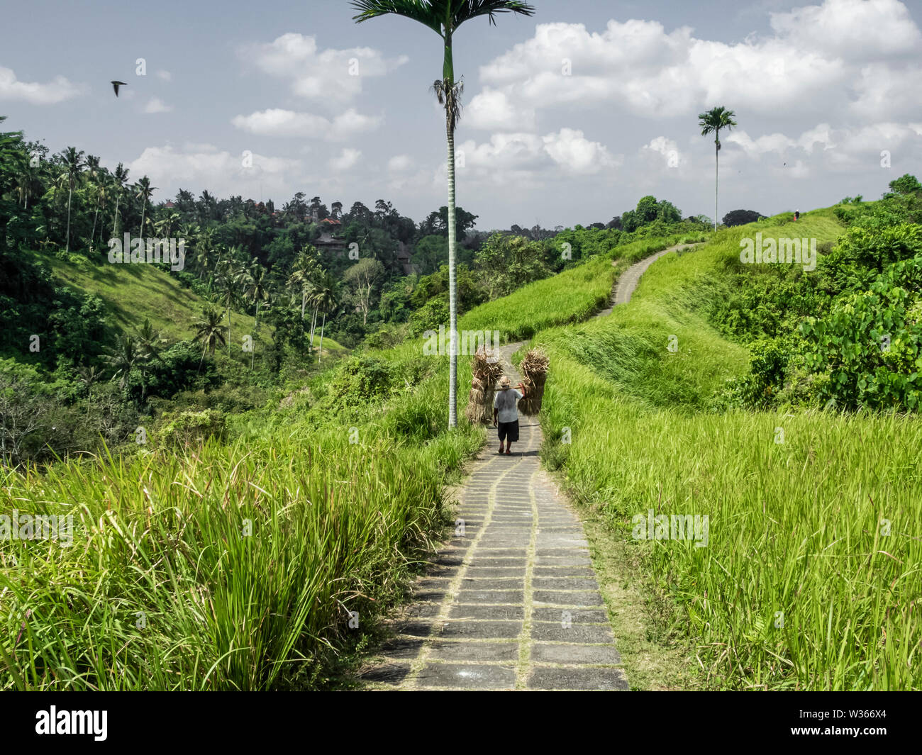 Work pathway hi-res stock photography and images - Alamy