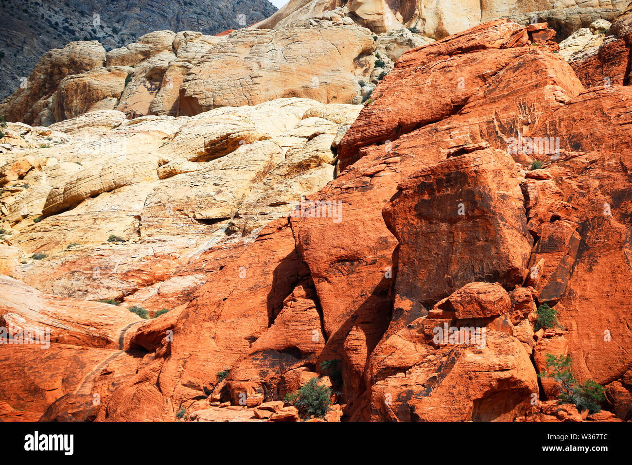 Us conservation hi-res stock photography and images - Alamy
