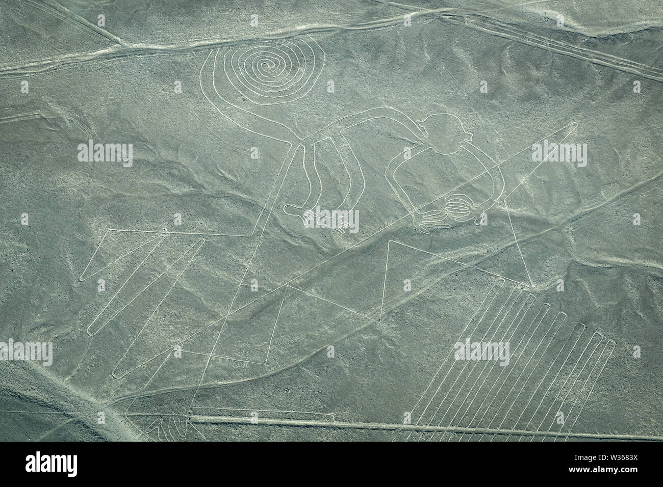 Monkey Image at Nazca Lines in Peru Stock Photo - Alamy