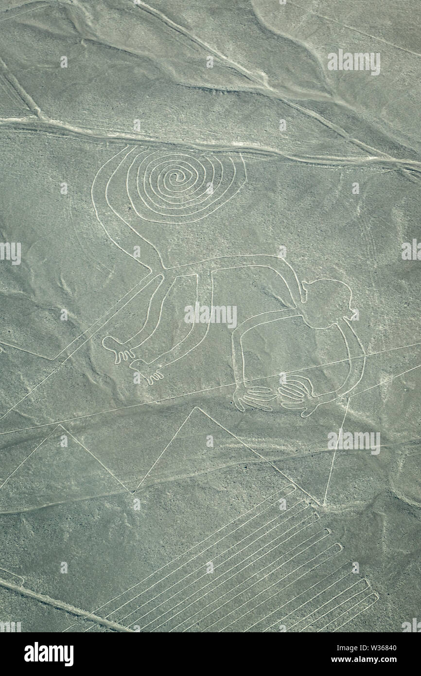 Monkey Image at Nazca Lines in Peru Stock Photo - Alamy