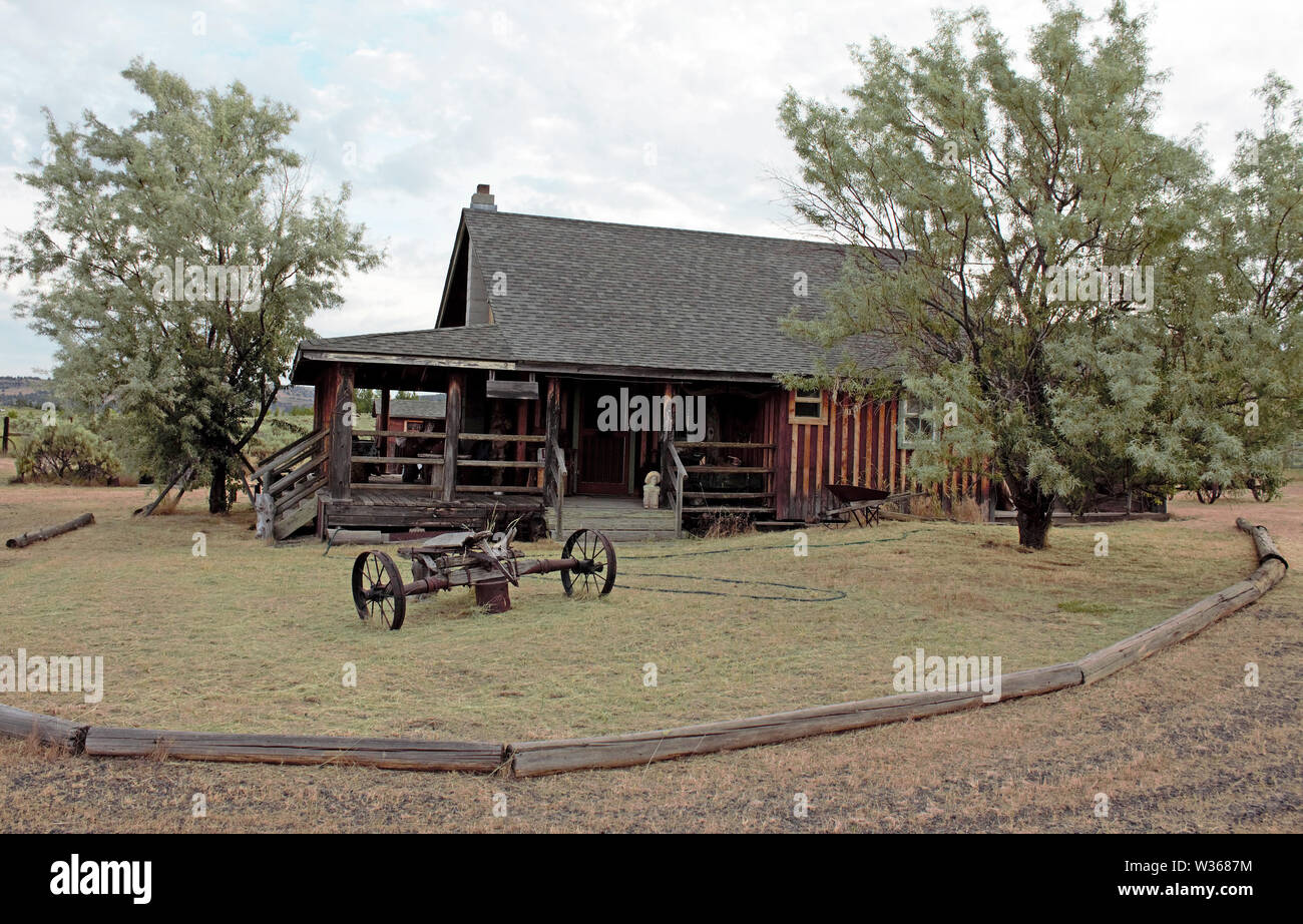 Olive trees grow next to a rustic cabin in Eastern Oregon Stock Photo ...