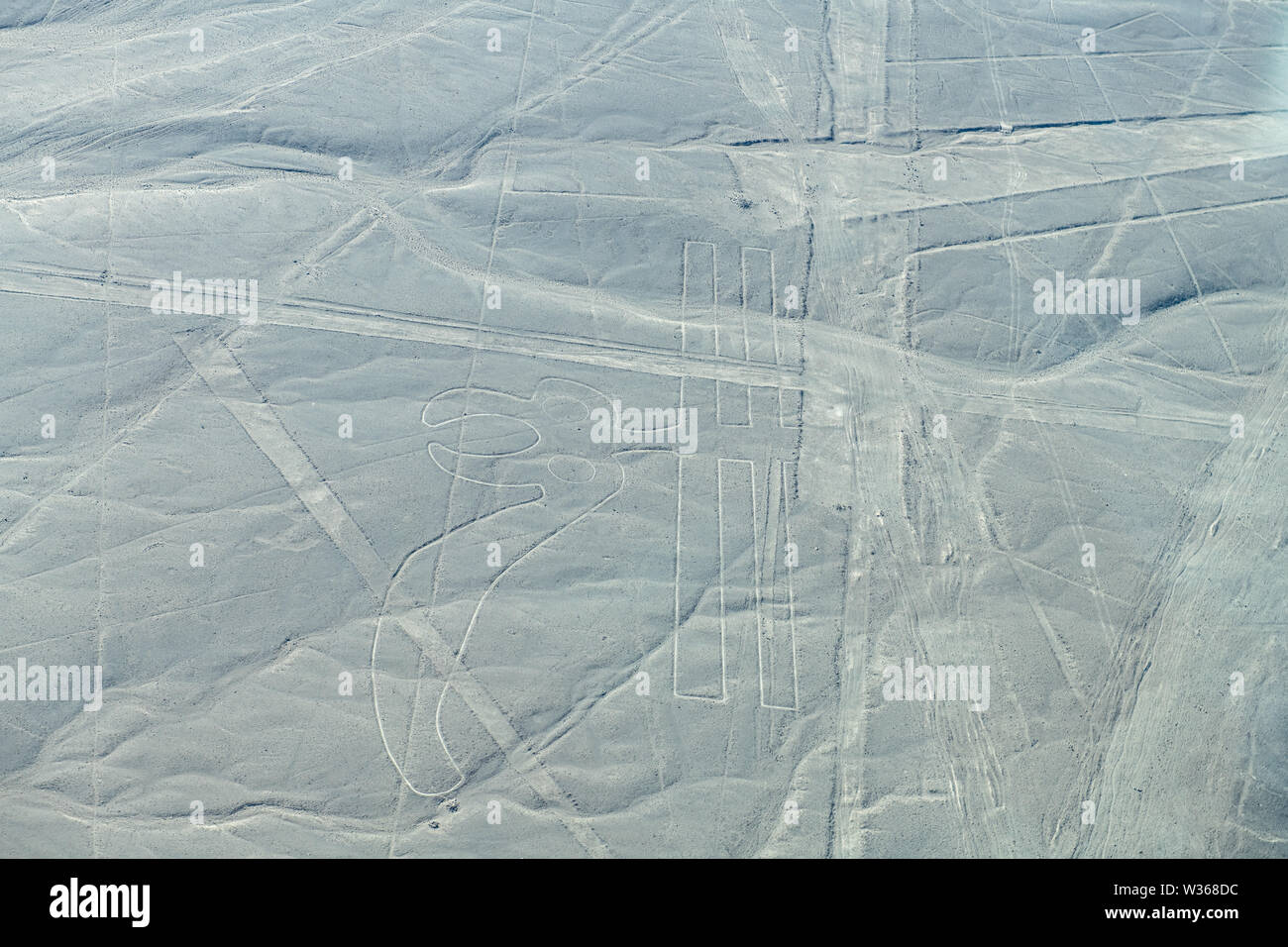 Parrot Image at Nazca Lines in Peru Stock Photo - Alamy