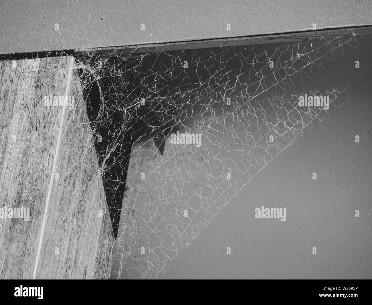 Tangled Cobweb High Resolution Stock Photography and Images - Alamy