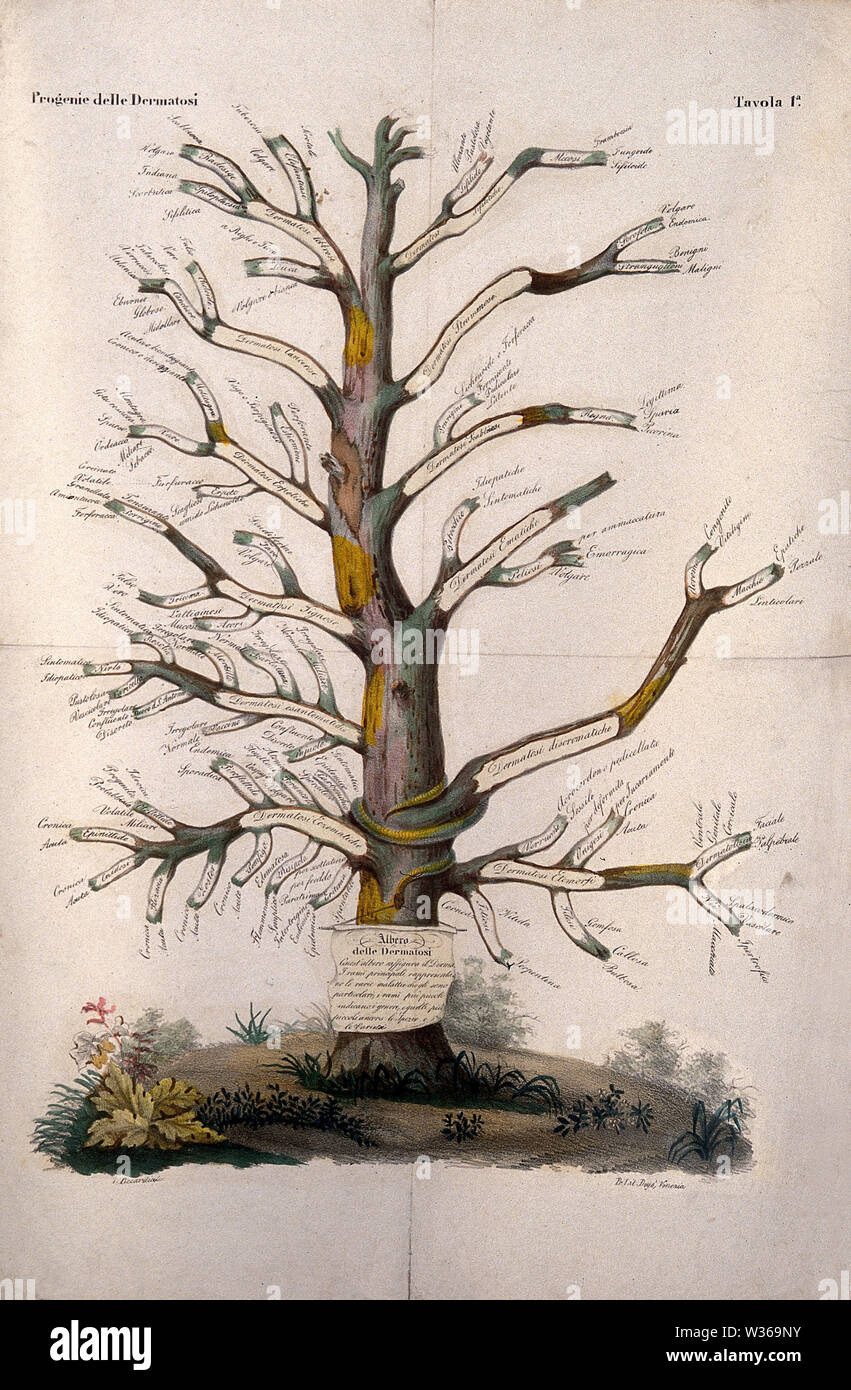 M j green hi-res stock photography and images - Alamy